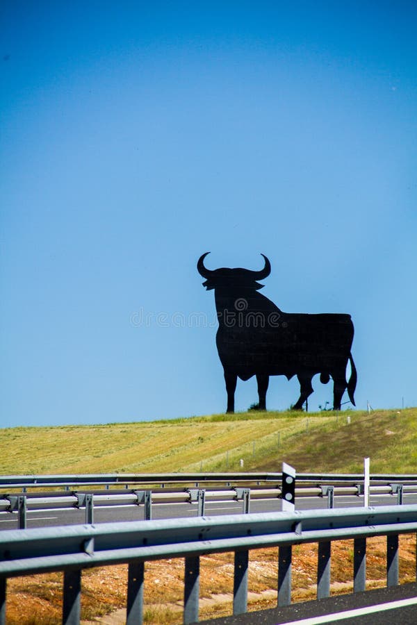 Torro photo stock. Image of tauromachie, espagne, vacances - 59493406