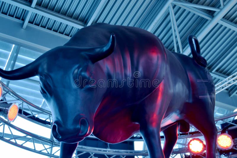 Torros under the lights editorial stock photo. Image of coming - 46064508