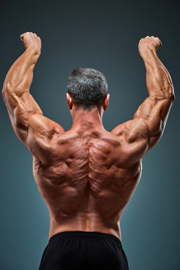Torso Attractive Male Body Builder Gray Background Stock Photos ...