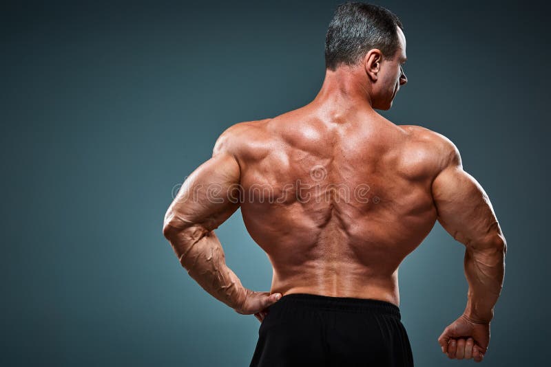 Torso of Attractive Male Body Builder on Gray Background. Stock Image ...