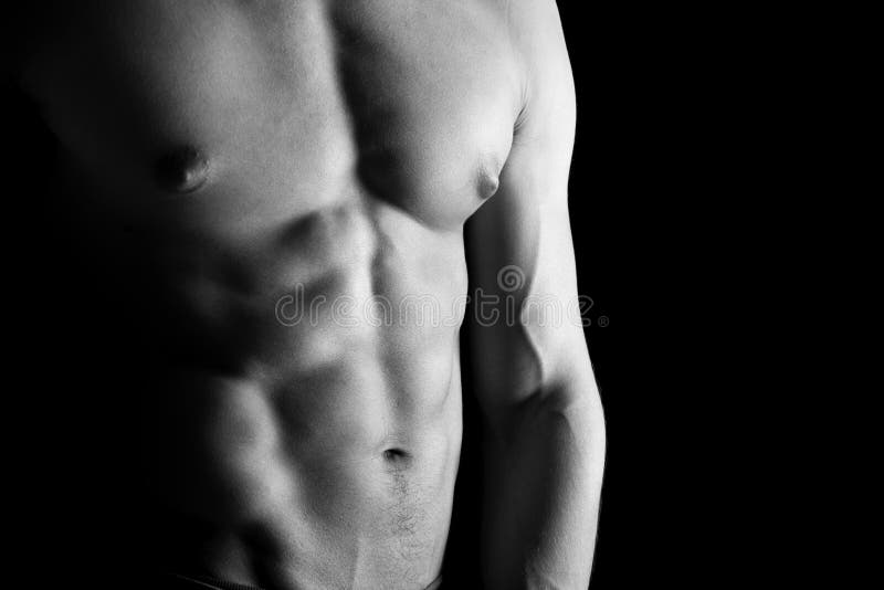 Torso del hombre imagen de archivo. Imagen de detalle - 63950899