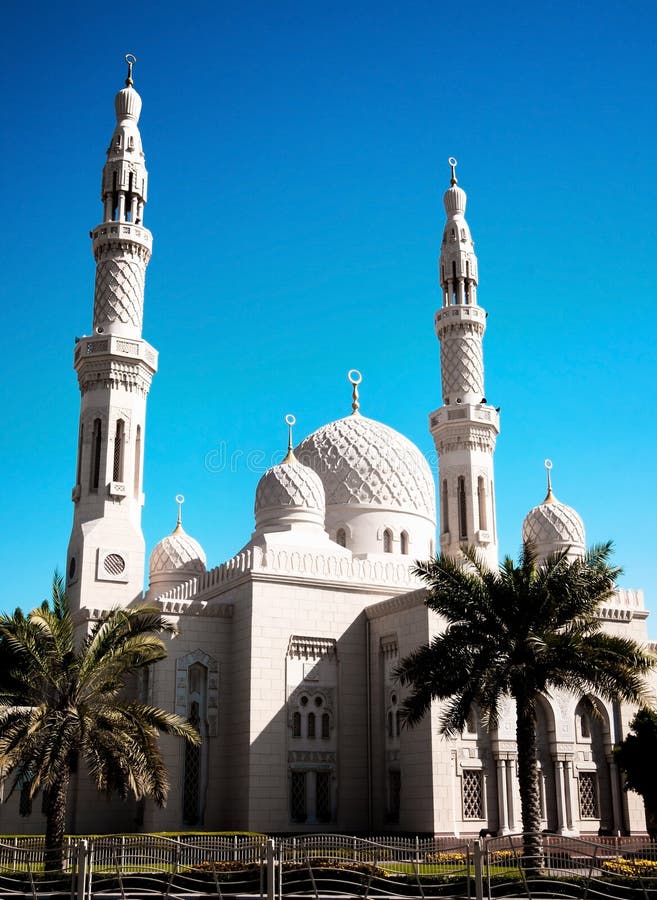 Torso of a Girl in a Bathing Suit Stock Photo - Image of arabia, middle ...