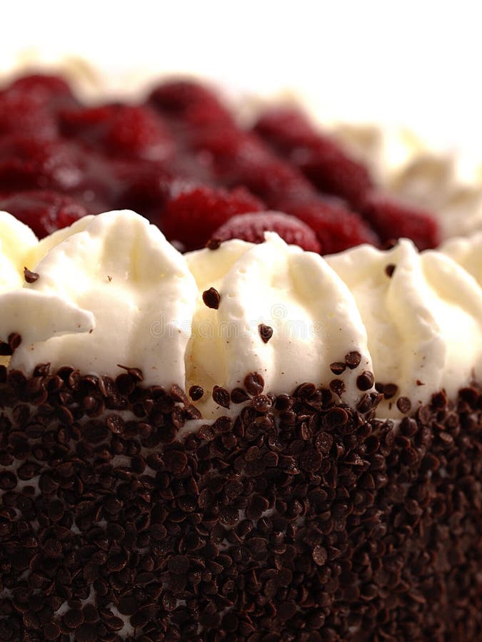 Torta del postre imagen de archivo. Imagen de bosque - 18938169