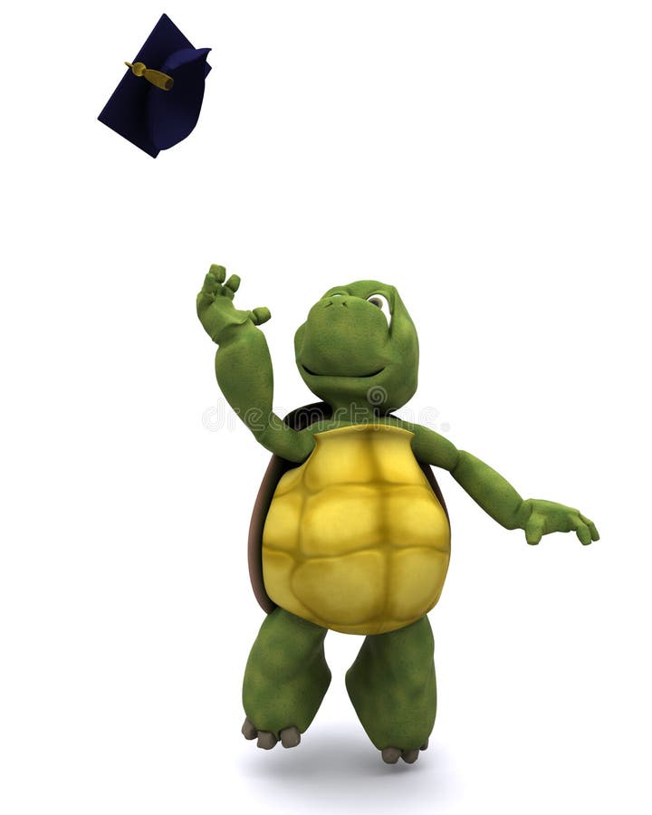 Tortoise Celebrating Graduation Stock Illustration - Illustration of ...