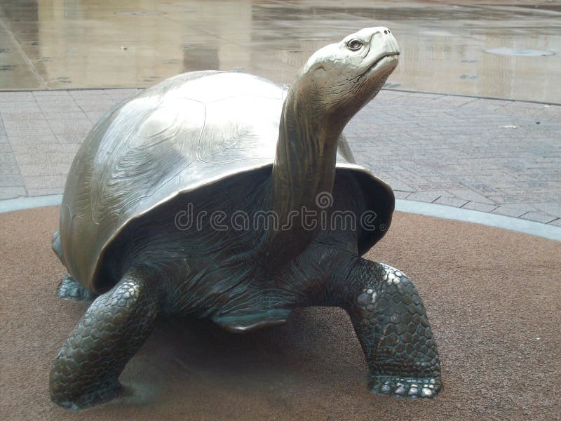 Tortoise Statue stock photo. Image of detials, metal - 53851512
