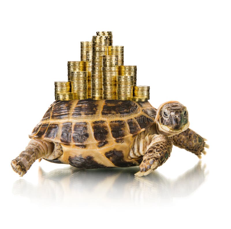 Gold tortoise shell stock image. Image of color, class - 28426377