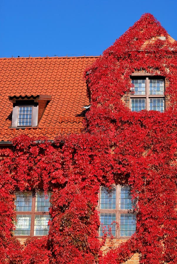 Torun City editorial image. Image of windows, torun, collegium - 45959030