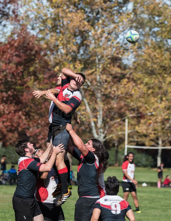 Tossing it Off editorial stock image. Image of arena - 62124539