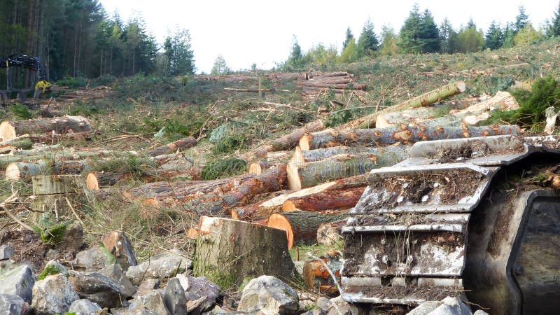 Total Destruction of Environment with Machinery Concept Stock Image ...