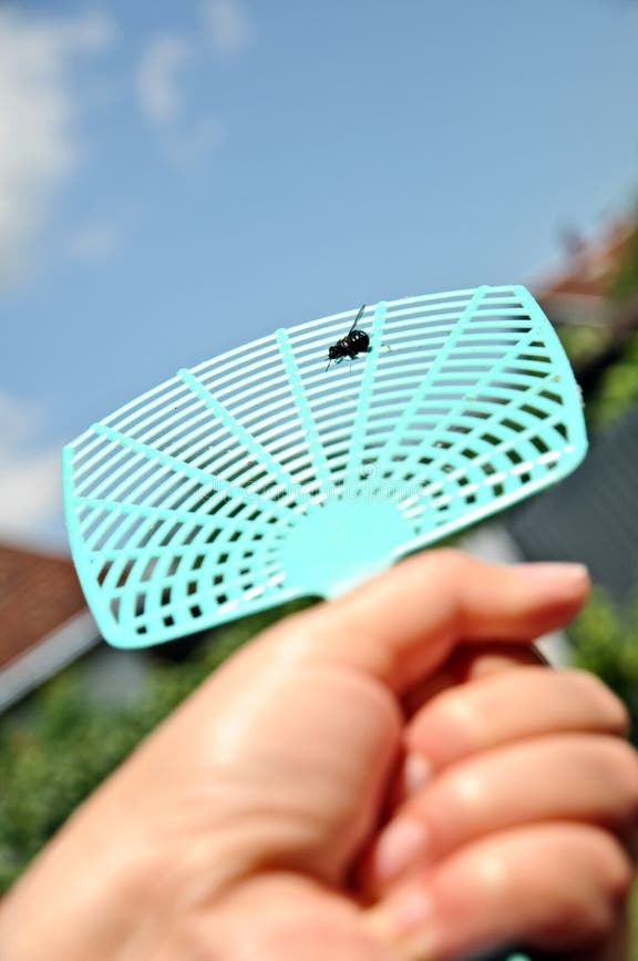 Tote Fliege Auf Einem Fliegenklatscher Stockfoto - Bild von fliege ...