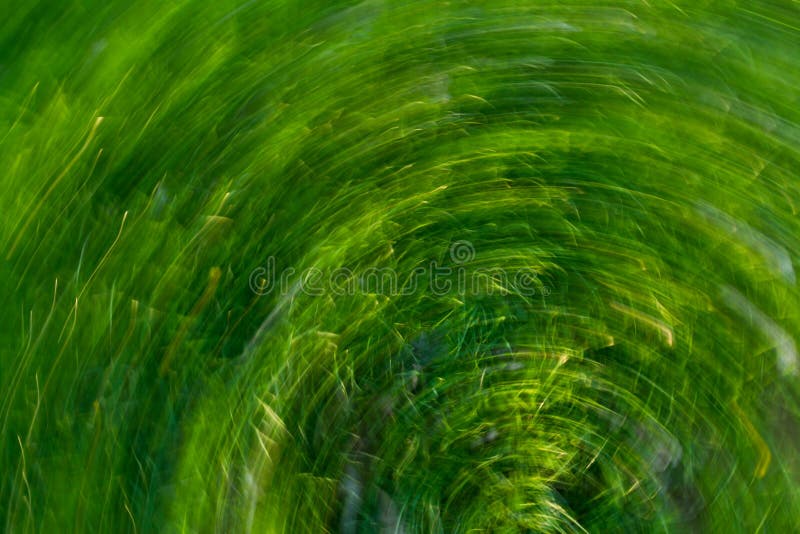 Tottering Drinker on the Way Home through the Park Stock Image - Image ...
