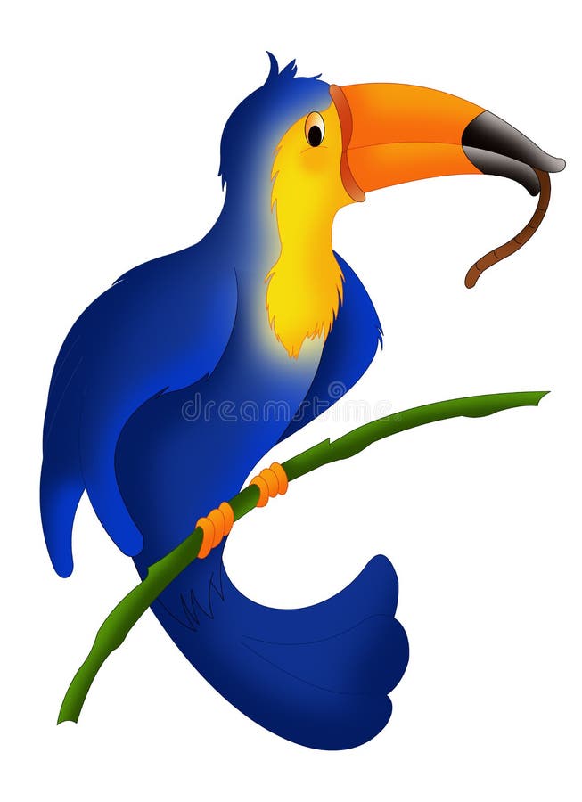 Toucan greedy stock illustration. Illustration of worm - 15489057