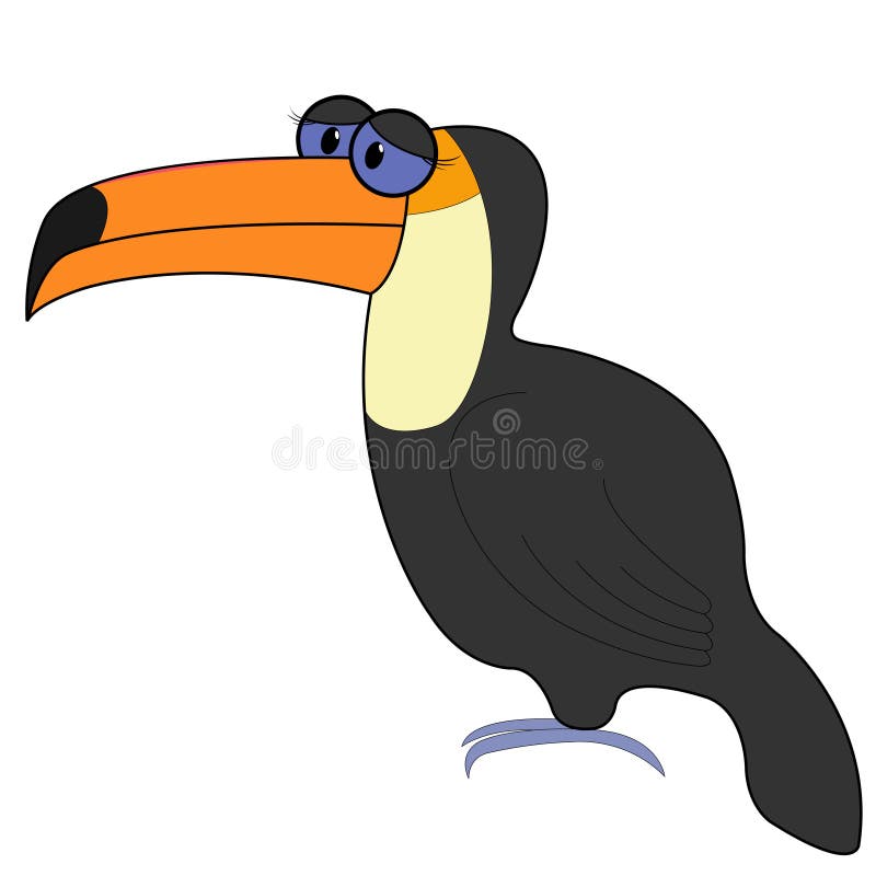 Cartoon Toco Toucan Ramphastos Toco Also Known As the Giant Toucan ...