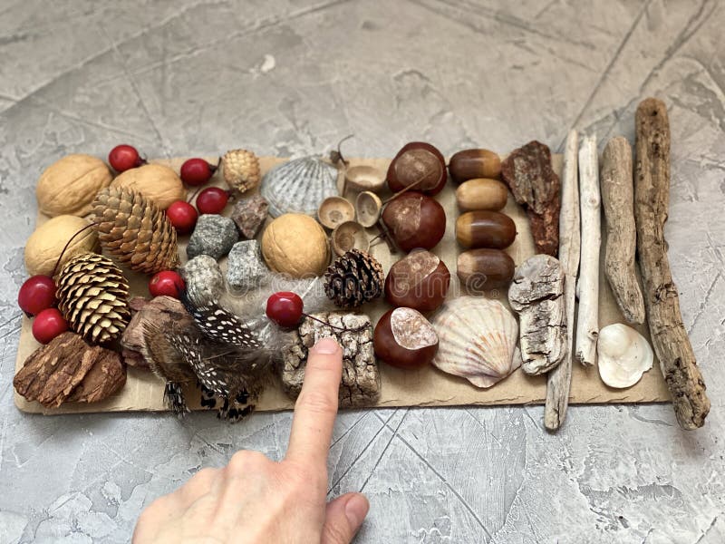 Children`s Tactile Board, Made of Natural Material, for the Development ...