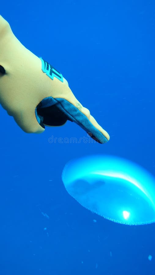 Touch stock image. Image of touch, scuba, diving, white - 75089869