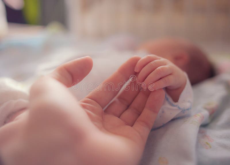 Touch stock photo. Image of sweet, happiness, love, family - 59821514