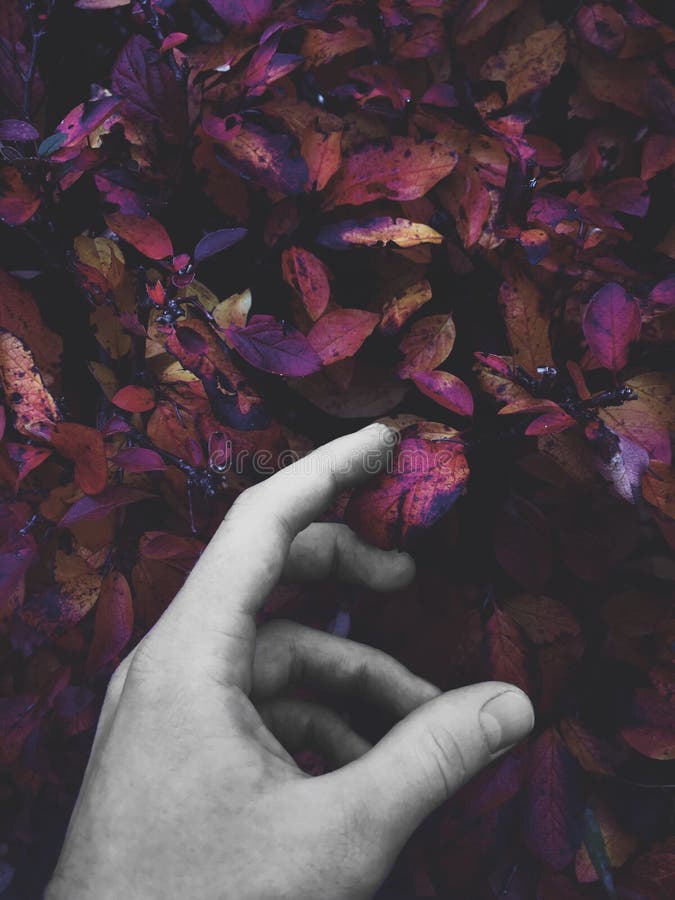 Touch the nature stock image. Image of colourless, cool - 90909035