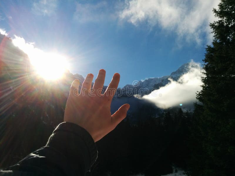 Touch the sky stock image. Image of dream, clouds, tree - 101416263
