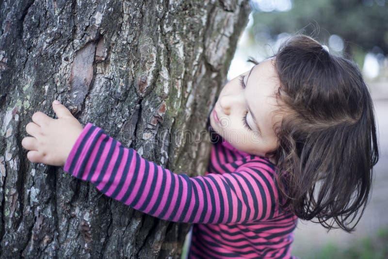 12,691 Touching Tree Stock Photos - Free & Royalty-Free Stock Photos ...