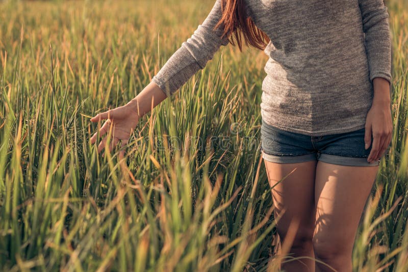 Touching grass stock image. Image of nature, hand, autumn - 51908079