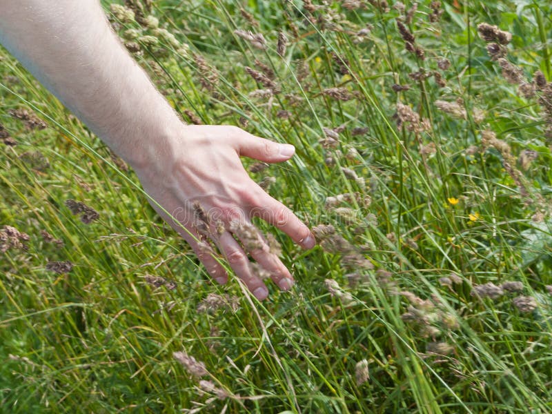 2,594 Hand Touching Grass Photos - Free & Royalty-Free Stock Photos ...