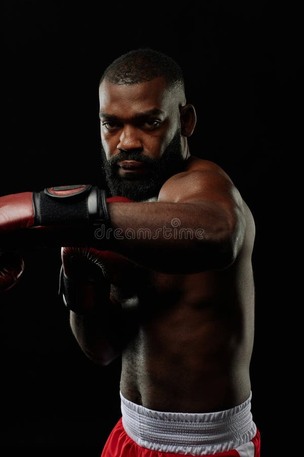 Tough Black Boxer Looking at Camera Stock Image - Image of ...