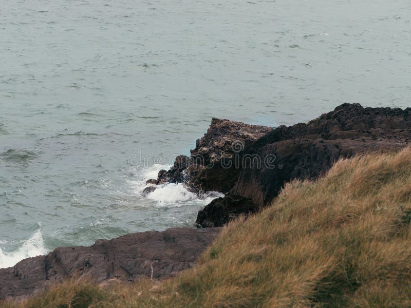 Tough Grass, Rock. Coastal Rocks. Seascape, Rock Formation Stock Image ...