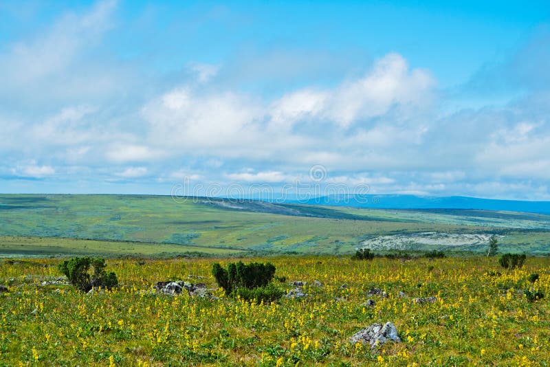 Toundra photo stock. Image du nature, nord, clair, rocheuses - 24138964