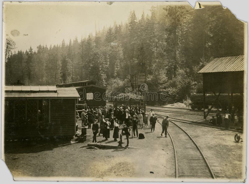Tour Of Logging Camp Picture. Image: 222348175