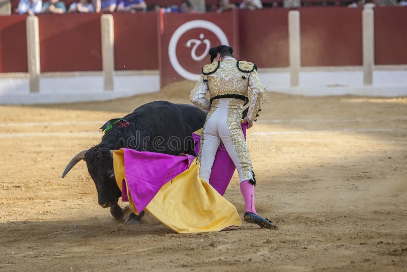 A Tourada Espanhola De Daniel Luque Do Toureiro Com O Crutc Imagem de ...