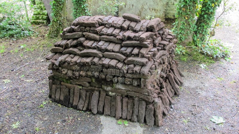 Plan Rapproché De Gazon De Tourbe Macro, Grand Modèle Organique Brun ...