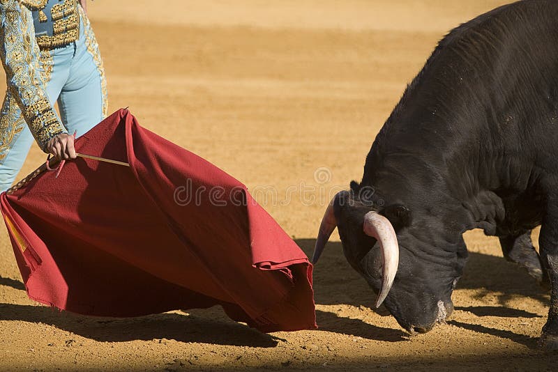 Toureiro Com O Cabo Na Tourada Foto de Stock - Imagem de chifre ...