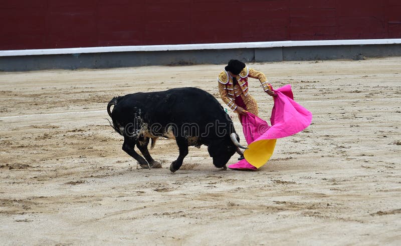 Toureiro Em Spain Com Touro Grande Foto de Stock Editorial - Imagem de ...