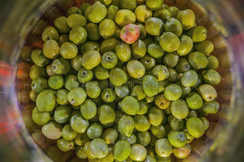 Tourie photo stock. Image du blanc, boisson, glace, conteneur - 55141884