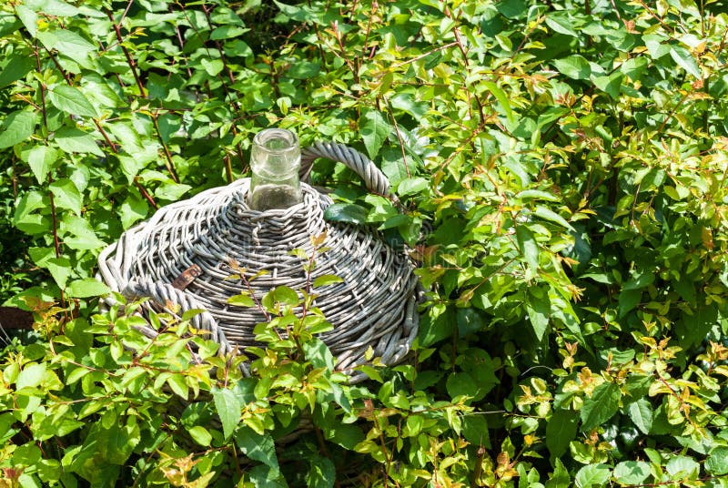 609 Photos de Tourie - Photos de stock gratuites et libres de droits de ...