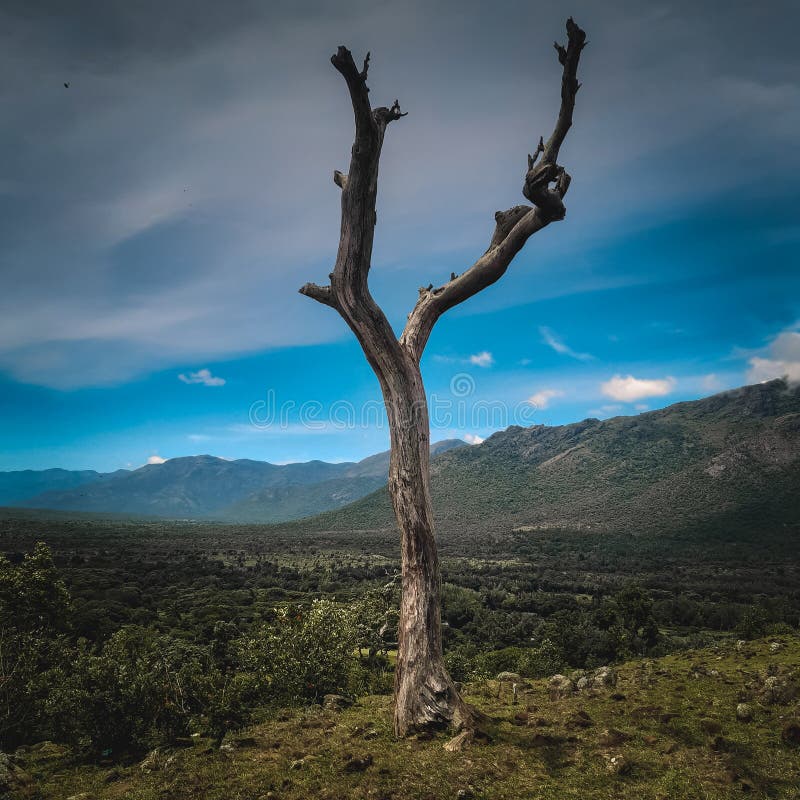 Dreamtime Learning Sign Stock Photos - Free & Royalty-Free Stock Photos ...