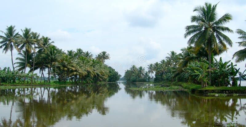 Tourism in India, Lush Vegetation in Kerala Stock Image - Image of ...