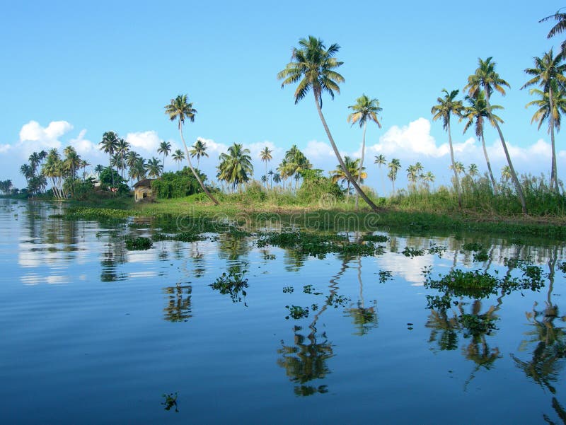 Tourism in India, Lush Vegetation in Kerala Stock Photo - Image of ...