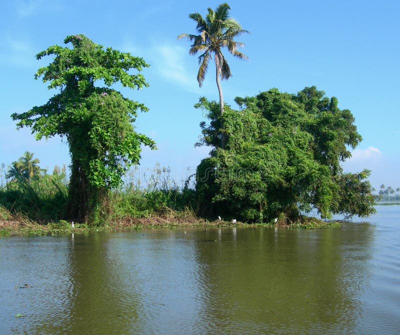 Tourism in India, Lush Vegetation in Kerala Stock Photo - Image of ...