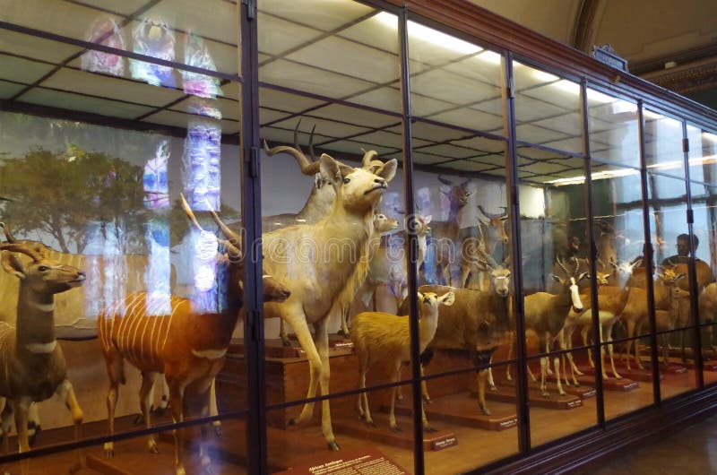 Tourist Attraction, Museum, Window Picture. Image: 133774849