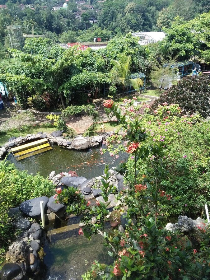 Tourist Attraction Stone Elephant Park Ungaran Stock Photo - Image of ...