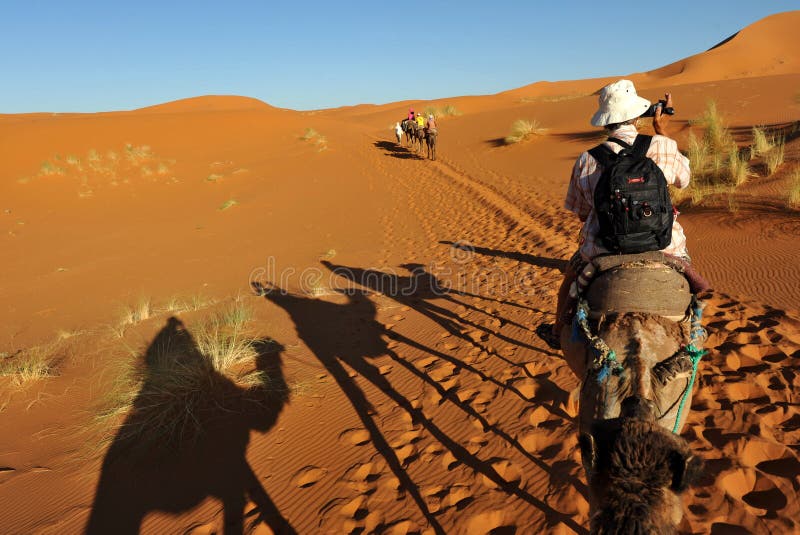 Tourist on camel editorial stock image. Image of dune - 18714374