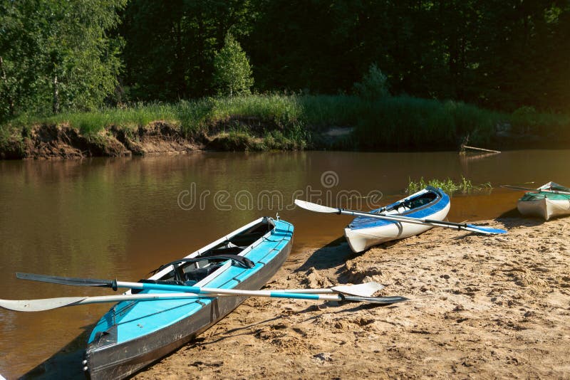Tourist Canoes With Paddles Stand On The River Coast In Summer On A