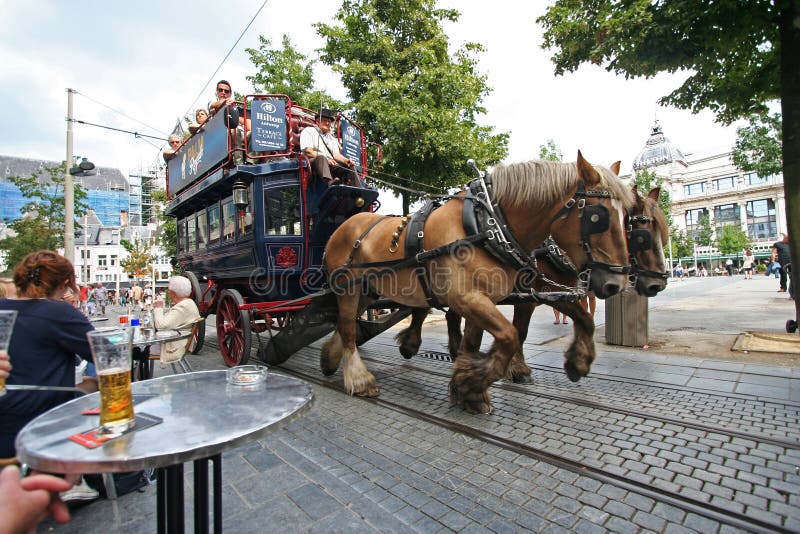 Tourist Coach editorial stock image. Image of horse, carriage - 16653954