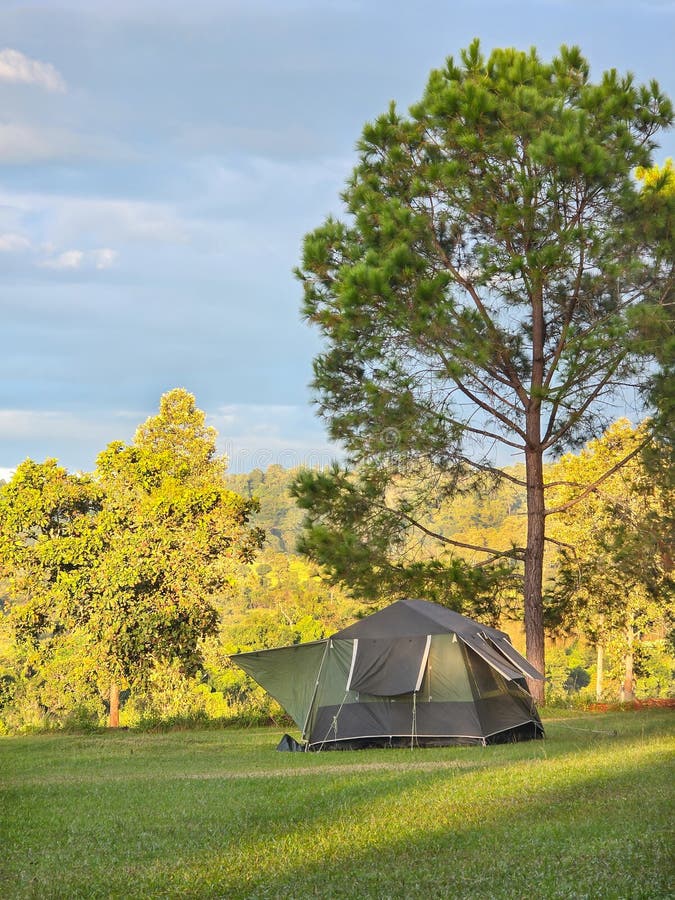 Tourist Dome Tent Camping at Forest Camping Site Stock Image - Image of ...