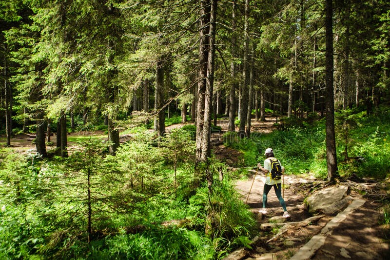 Tourist in the Forest with a Backpack Stock Photo - Image of landscape ...