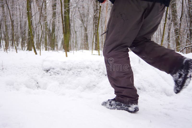 Tourist Jumps Over a Log in the Winter Forest Stock Image - Image of ...