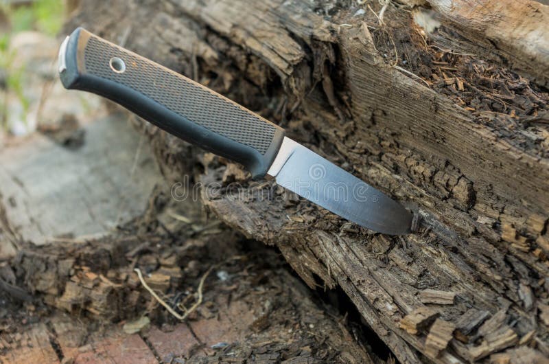 The Tourist Knife is Built into a Tree. Side View Stock Image - Image ...