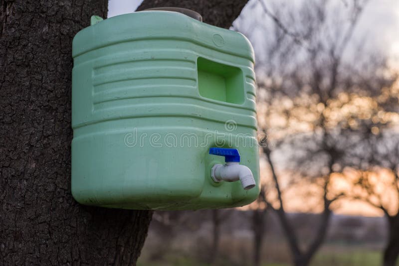 Tourist Plastic Wash Basin on a Tree Stock Image - Image of washstand ...