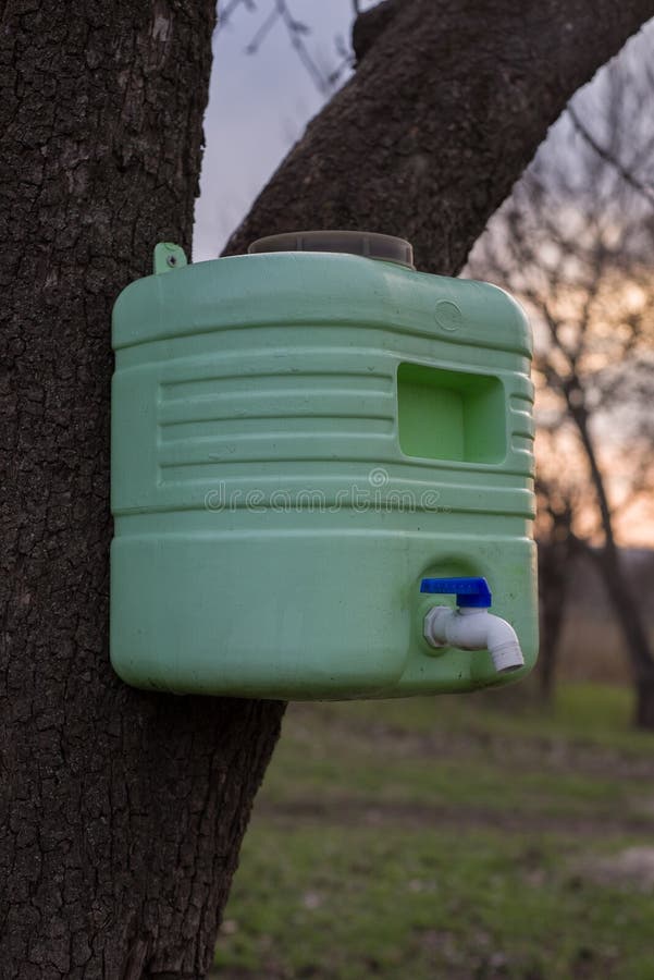 Tourist Plastic Wash Basin on a Tree Stock Photo - Image of green ...